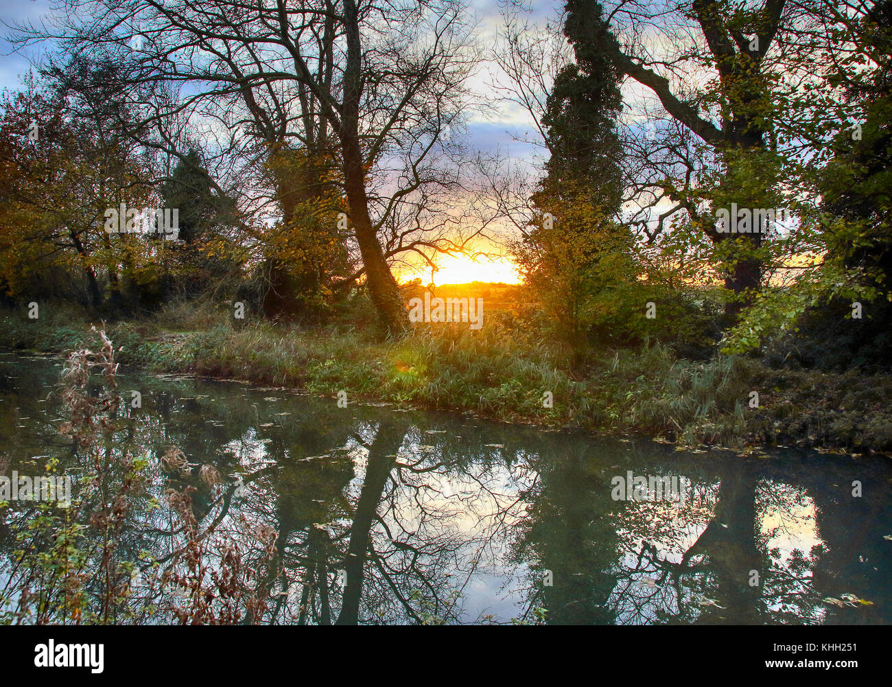 Bedfordshire, UK. 19th Nov, 2017. Nr Biggleswade, Bedfordshire, UK ...