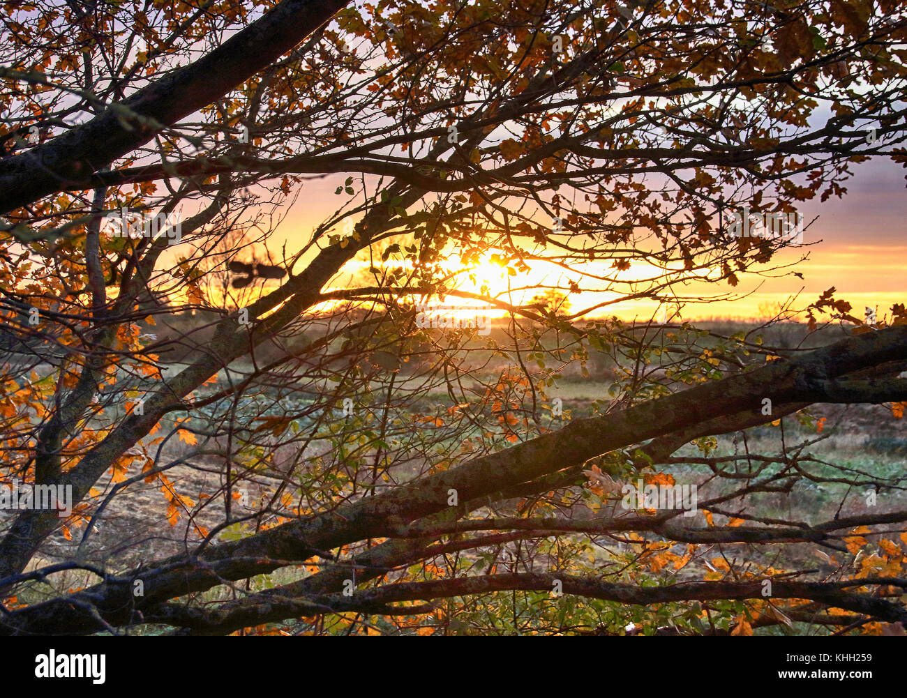 River ivel biggleswade hi-res stock photography and images - Alamy
