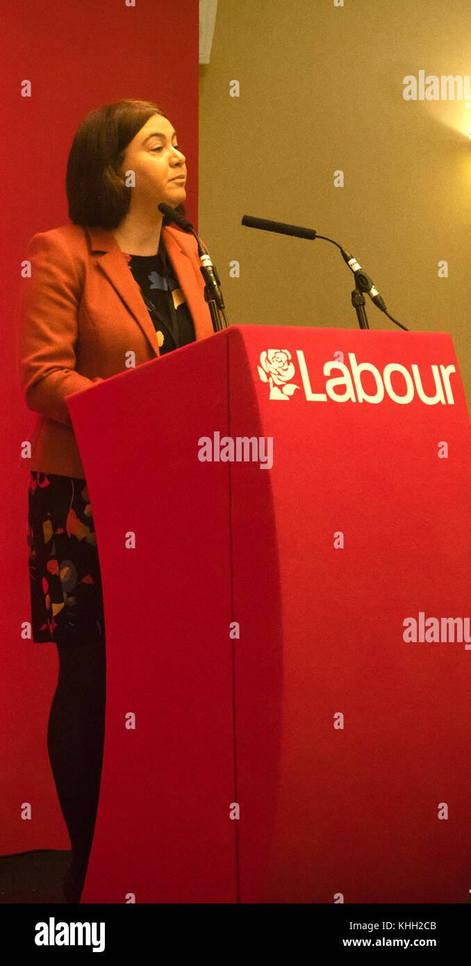 Huntingdon, UK. 19th November 2017 AlexMayer the Labour MEP for the ...