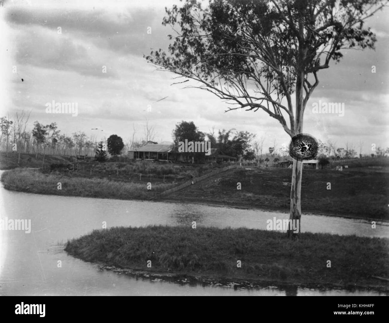 1 151671 View of Fairview Station, Queensland, ca. 1902 Stock Photo - Alamy