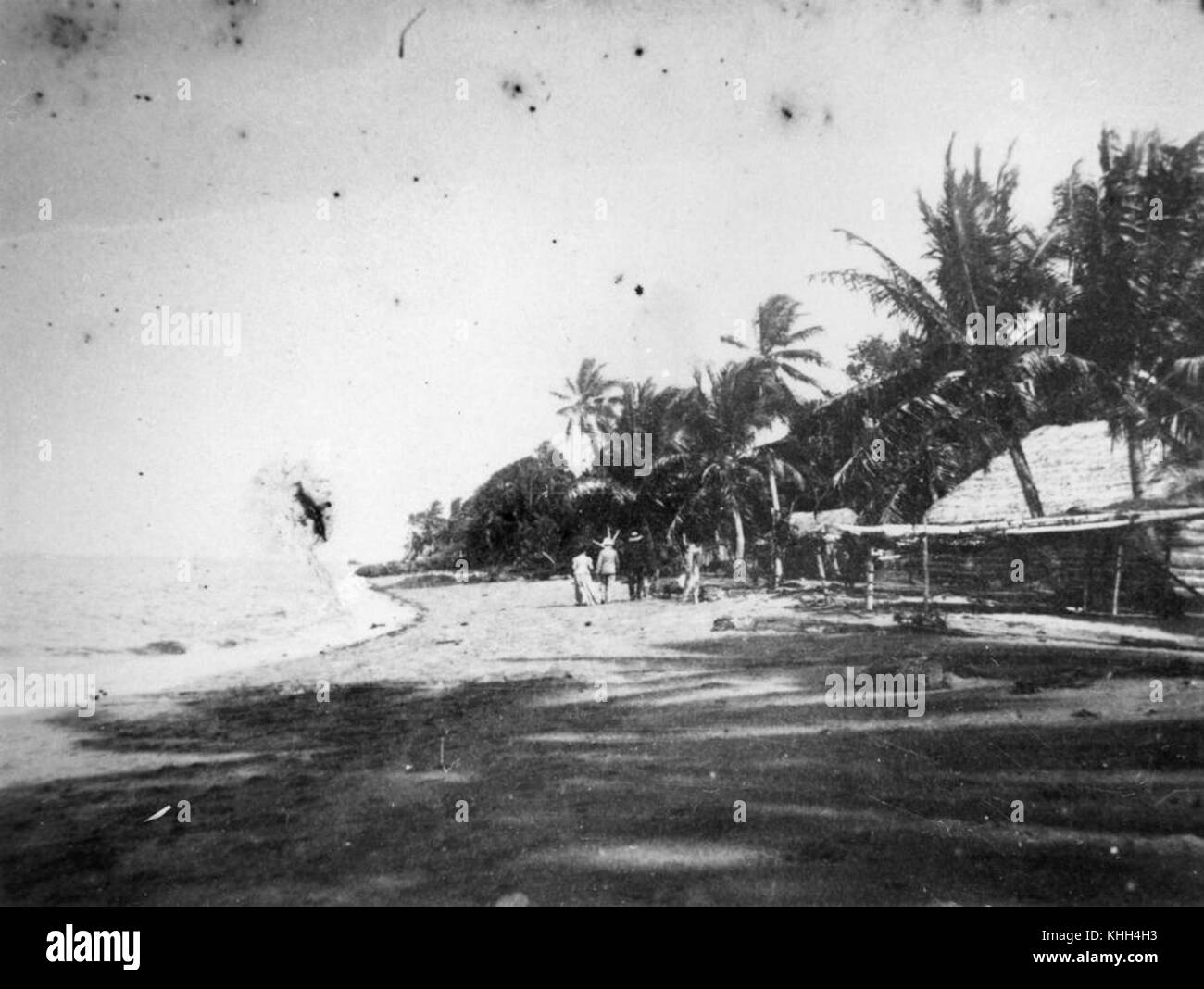 1 77383 Walking on the beach at Darnley Island, Torres Strait, 1899 ...