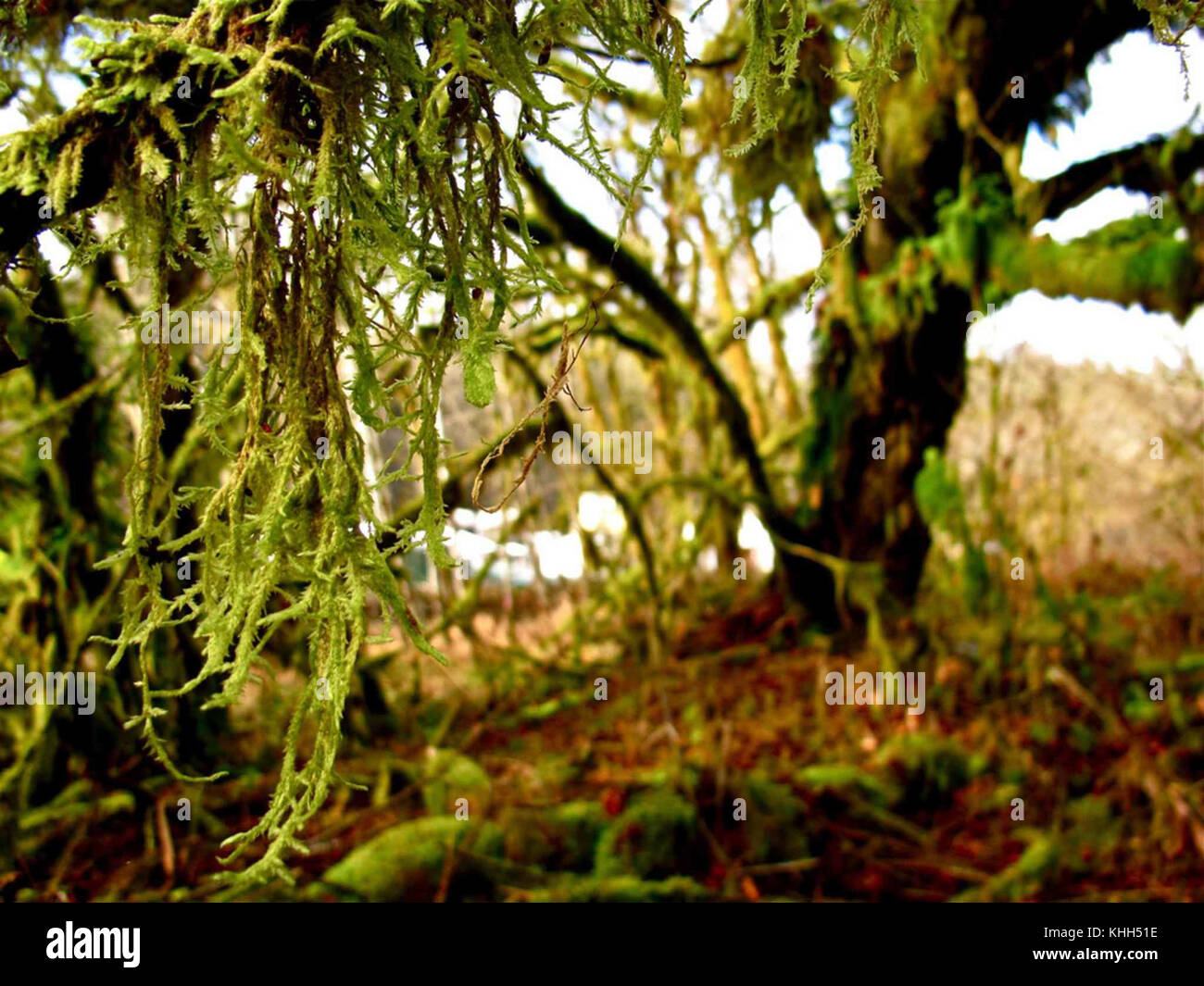 Abernathy hi-res stock photography and images - Alamy