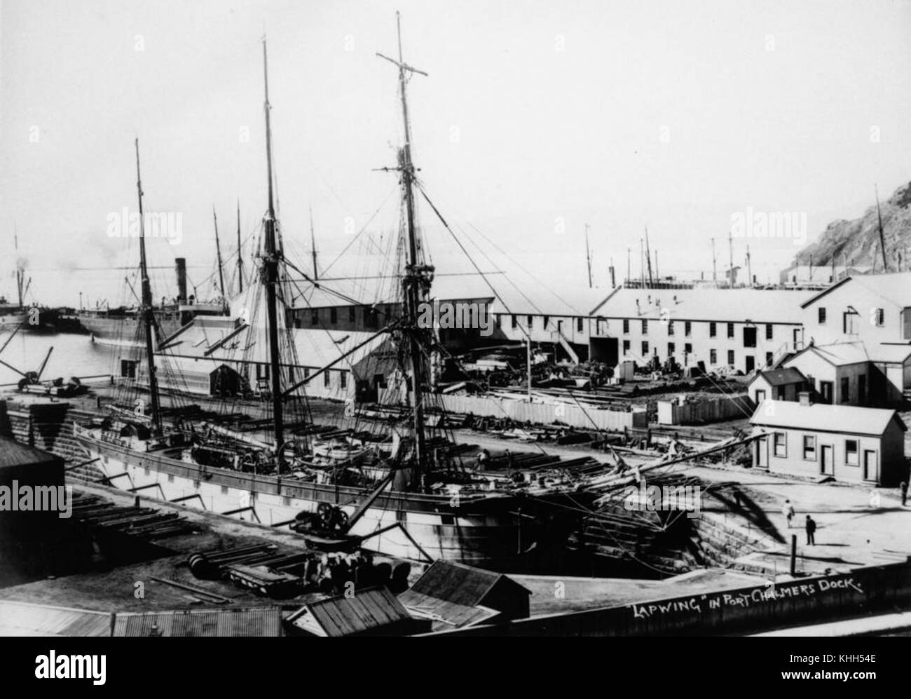 British lapwing hi-res stock photography and images - Alamy