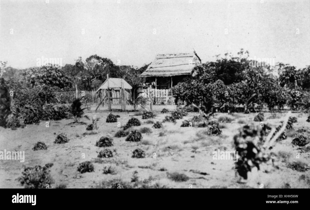 2 139439 Aboriginal farm or outstation at Mapoon, 1914 Stock Photo - Alamy