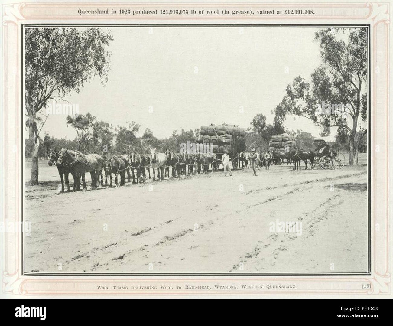 A historical image showing wool teams delivering wool to the rail-head ...