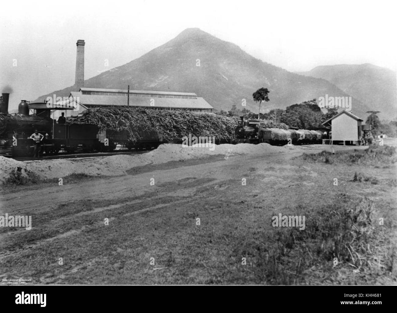 2 270965 Cane train at the Mulgrave Mill in Gordonvale, 1902 Stock ...
