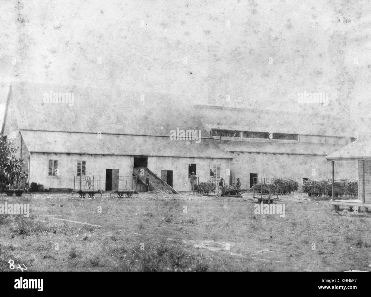 2 395873 Fairymead Sugar Mill near Bundaberg, Queensland, 1898 Stock ...