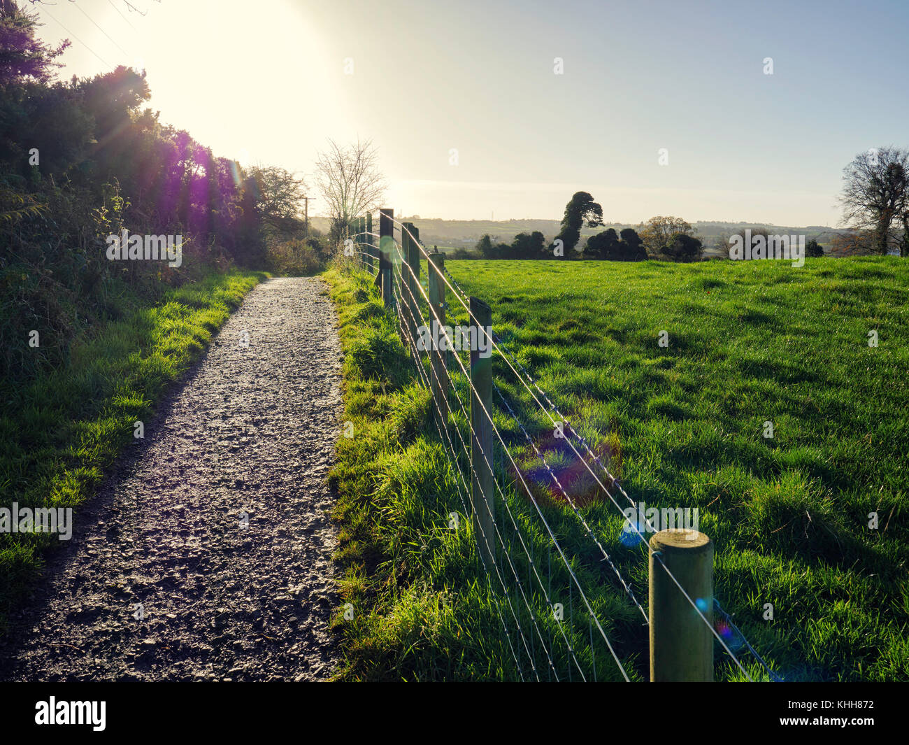 Autumn countryside morning,Northern Ireland Stock Photo - Alamy