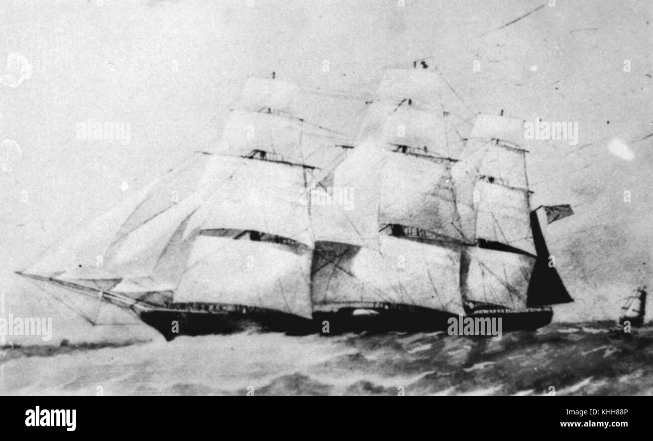 The ocean monarch hi-res stock photography and images - Alamy