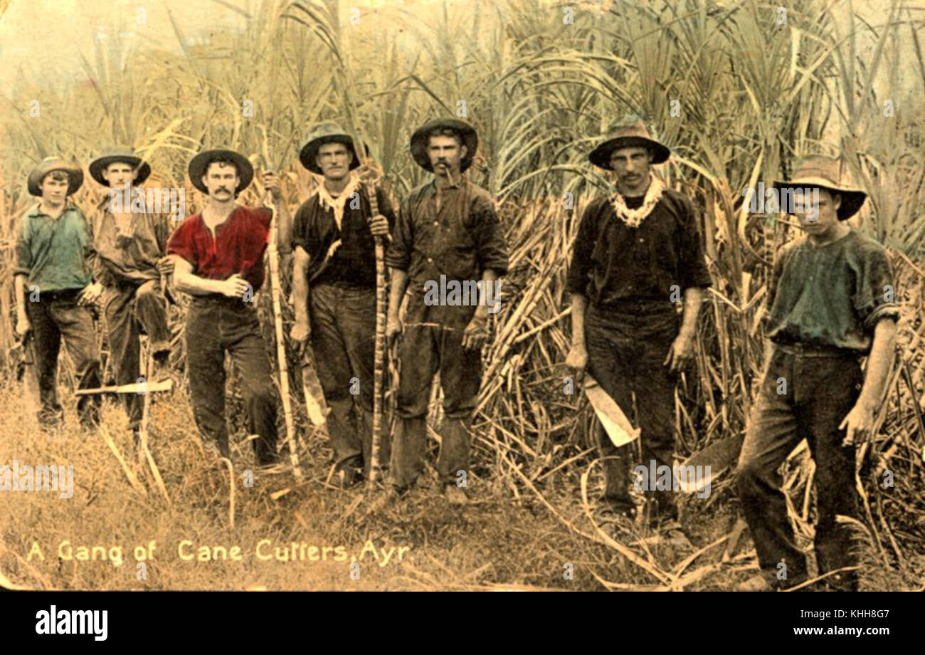 Canecutters hi-res stock photography and images - Alamy