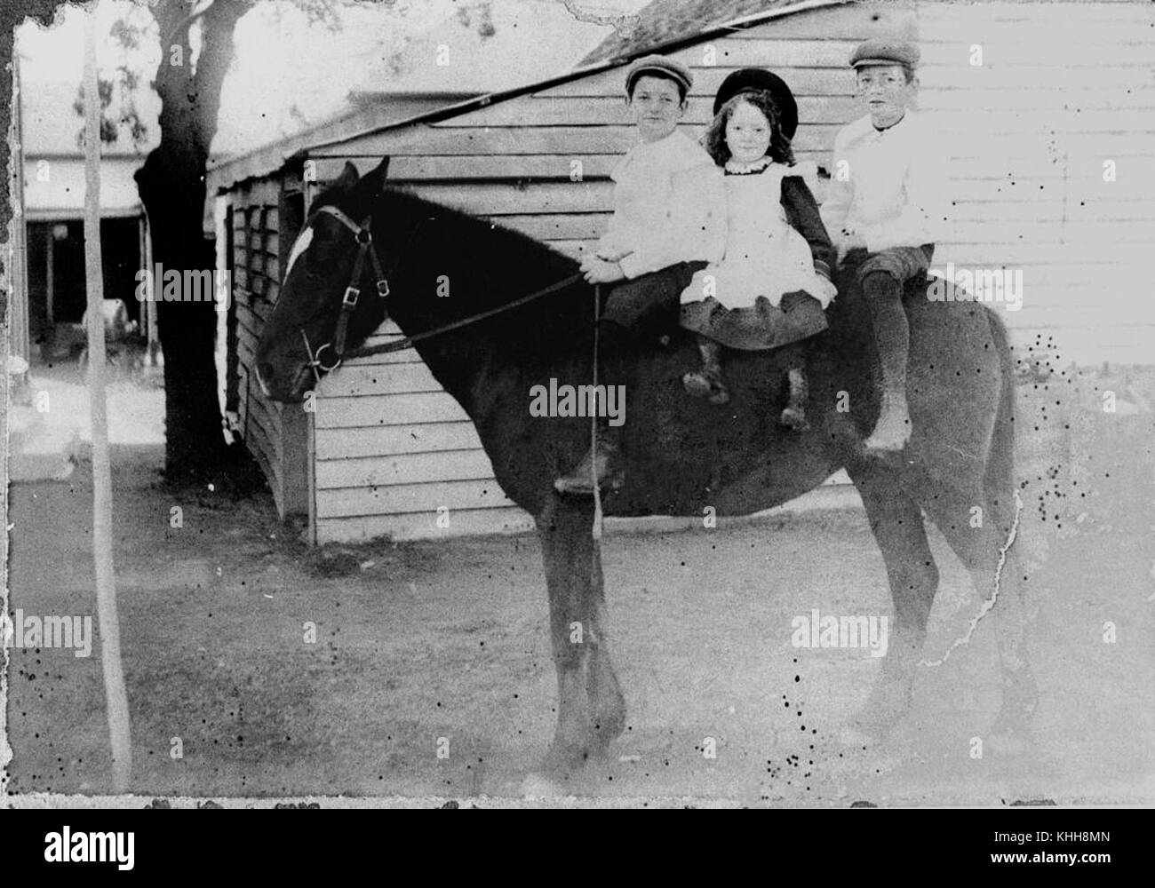 1 174427 Children of the Cavanagh family, Roma, on a horse Stock Photo ...