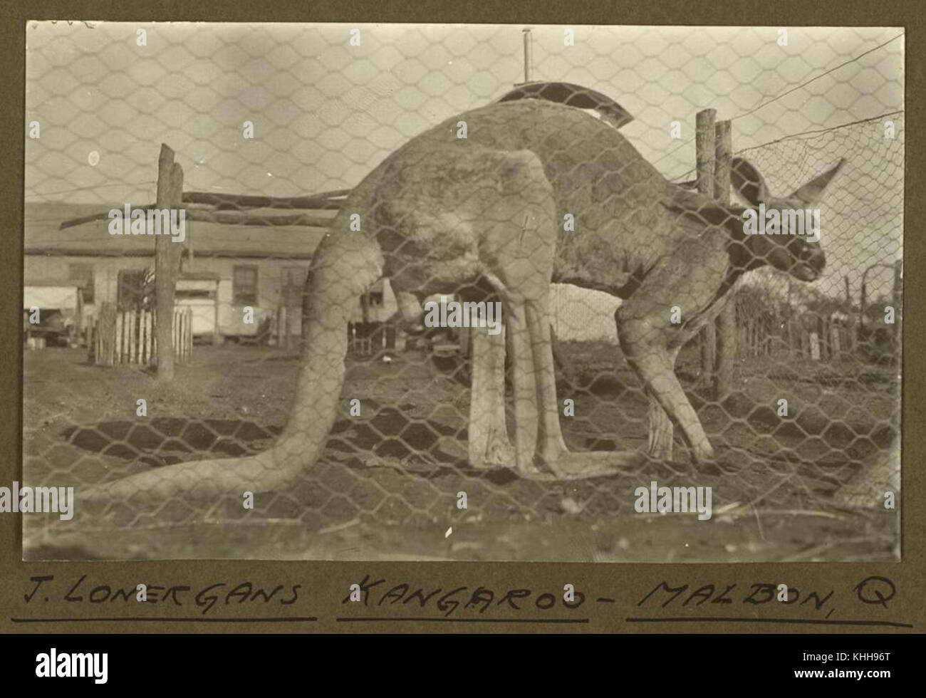 Isa district hi-res stock photography and images - Alamy