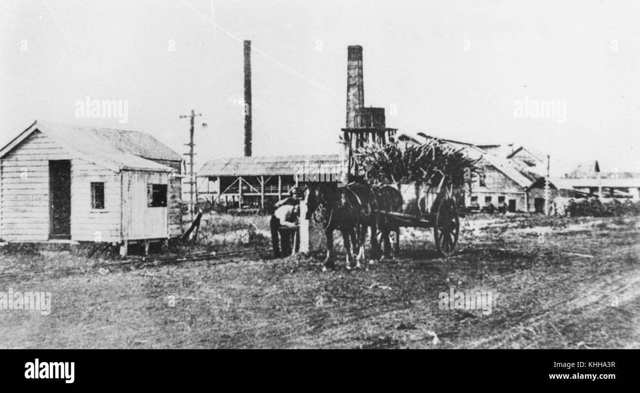 2 394881 Horsedrawn cart at weighbridge infront of Qunaba Sugar Mill ...