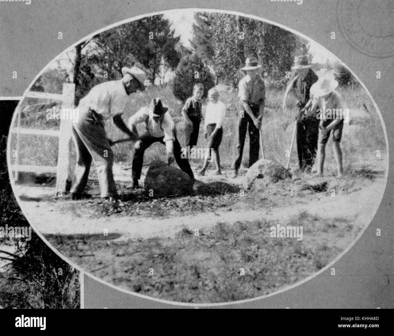 A working bee at the War Memorial Park in Stanthorpe, Queensland, held ...