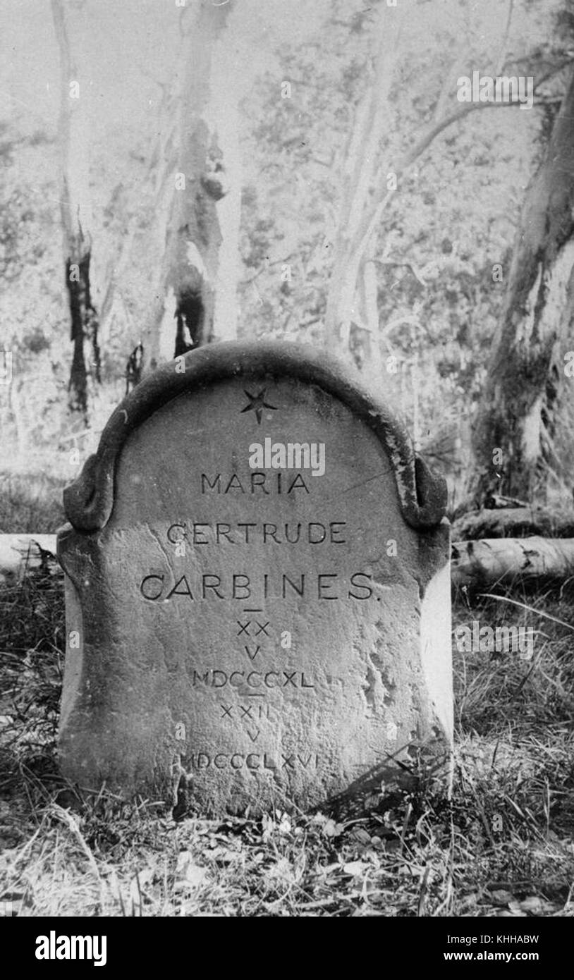 2 394209 Headstone for Maria Gertrude Carbines on Bunya Mountains, ca ...