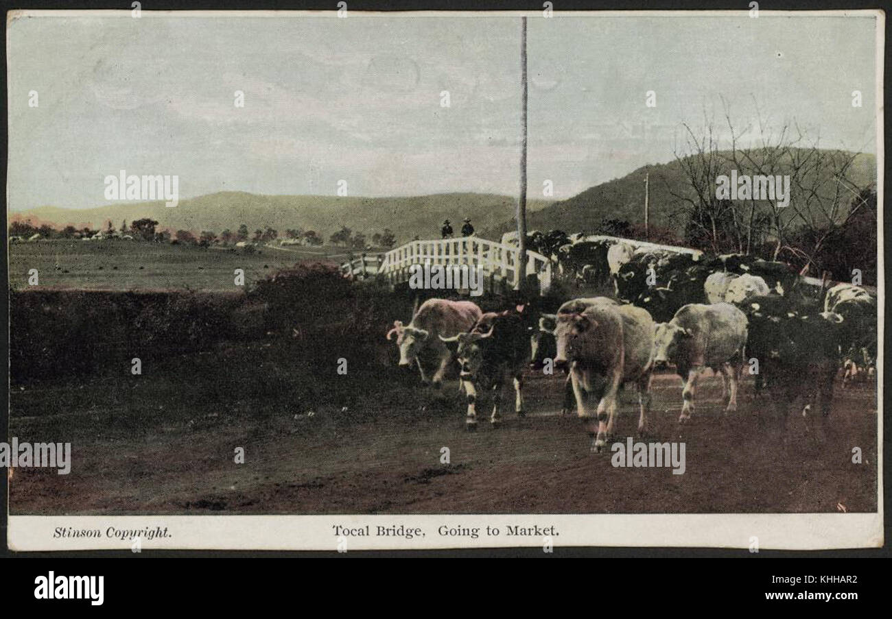 Tocal Bridge, 1907 (8286908452 Stock Photo - Alamy
