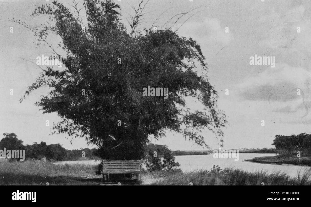 1 391669 Alexandra Park, Bundaberg, ca. 1910 Stock Photo - Alamy