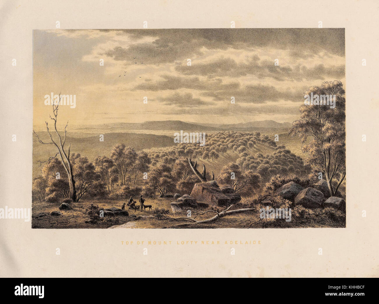 Top of Mount Lofty near Adelaide (S.A Stock Photo - Alamy