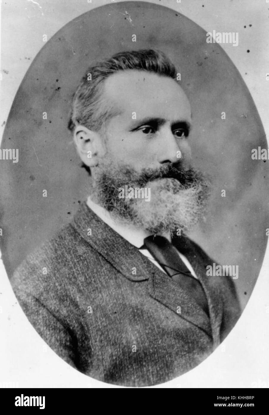 Portrait study of Mr. R. C. Brown, circa 1880, showing a formal ...