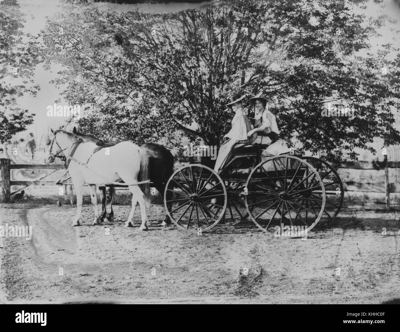 Horse and carriage 1890s hi-res stock photography and images - Alamy