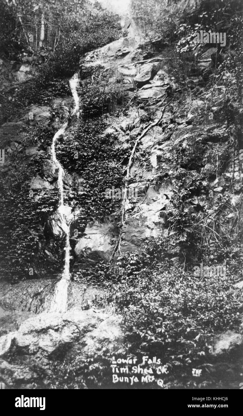 Tim shea hi-res stock photography and images - Alamy