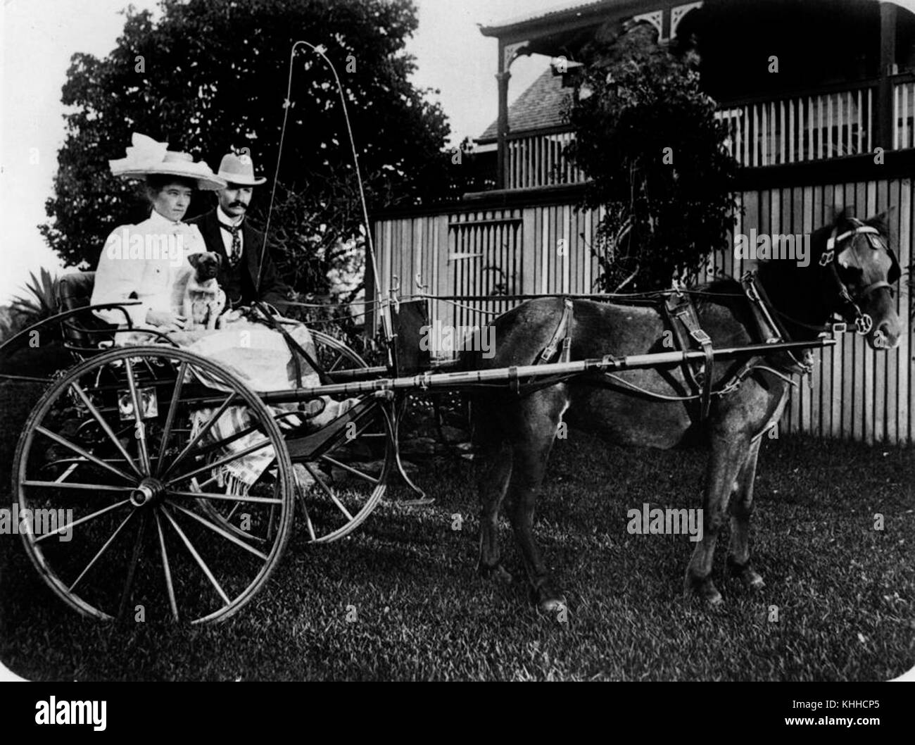 Lestrange hi-res stock photography and images - Alamy