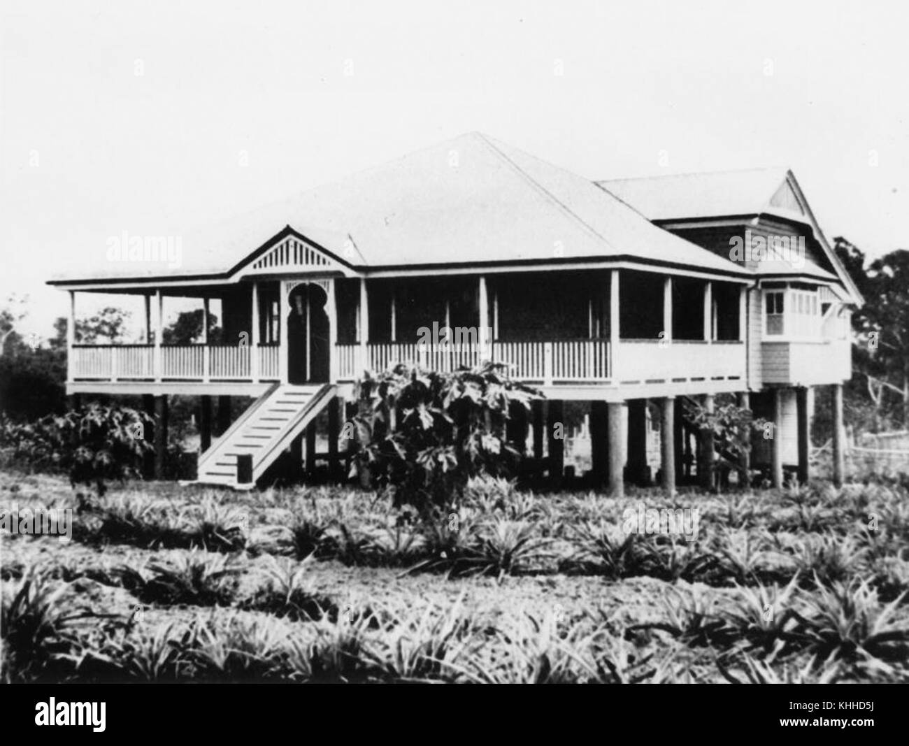 Old queenslander house Black and White Stock Photos & Images - Alamy