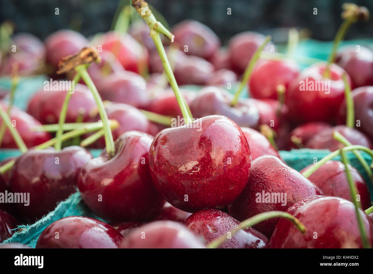 Cherries available from vendors at the U.S. Department of Agriculture ...