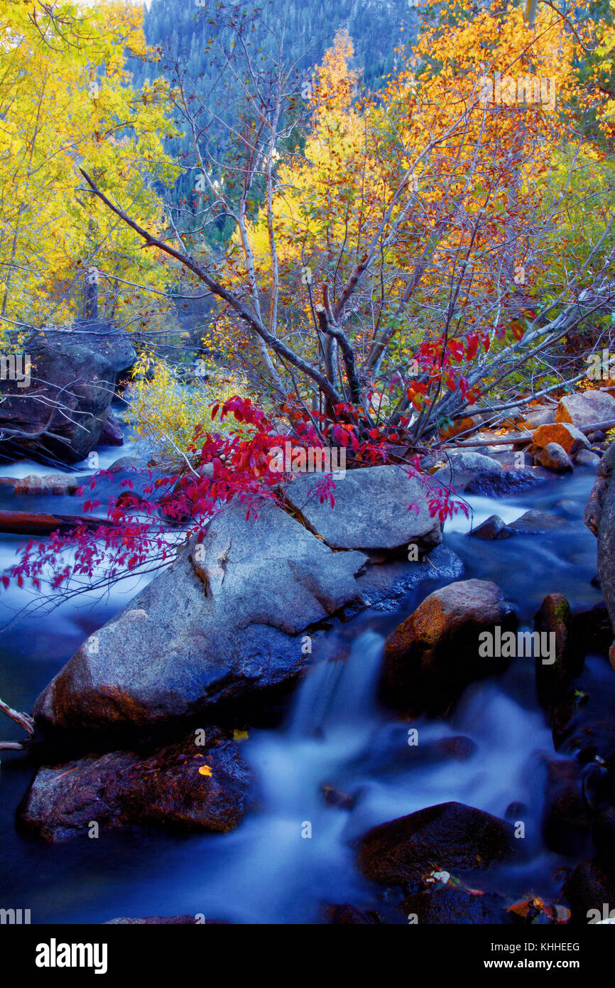 Alpine County High Resolution Stock Photography and Images - Alamy