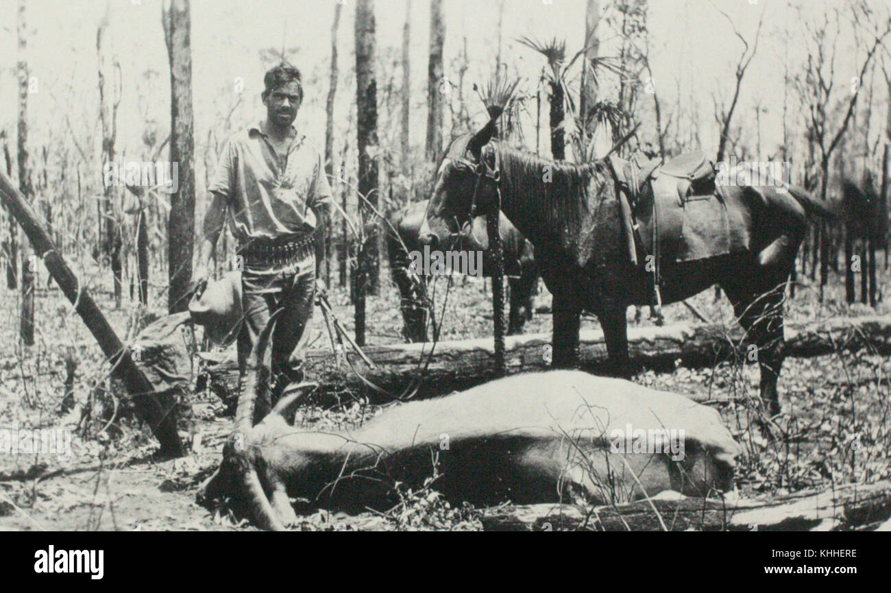 Tom Cole High Resolution Stock Photography and Images - Alamy