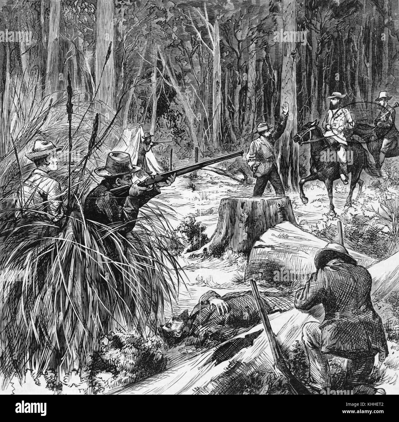 Stringybark hi-res stock photography and images - Alamy