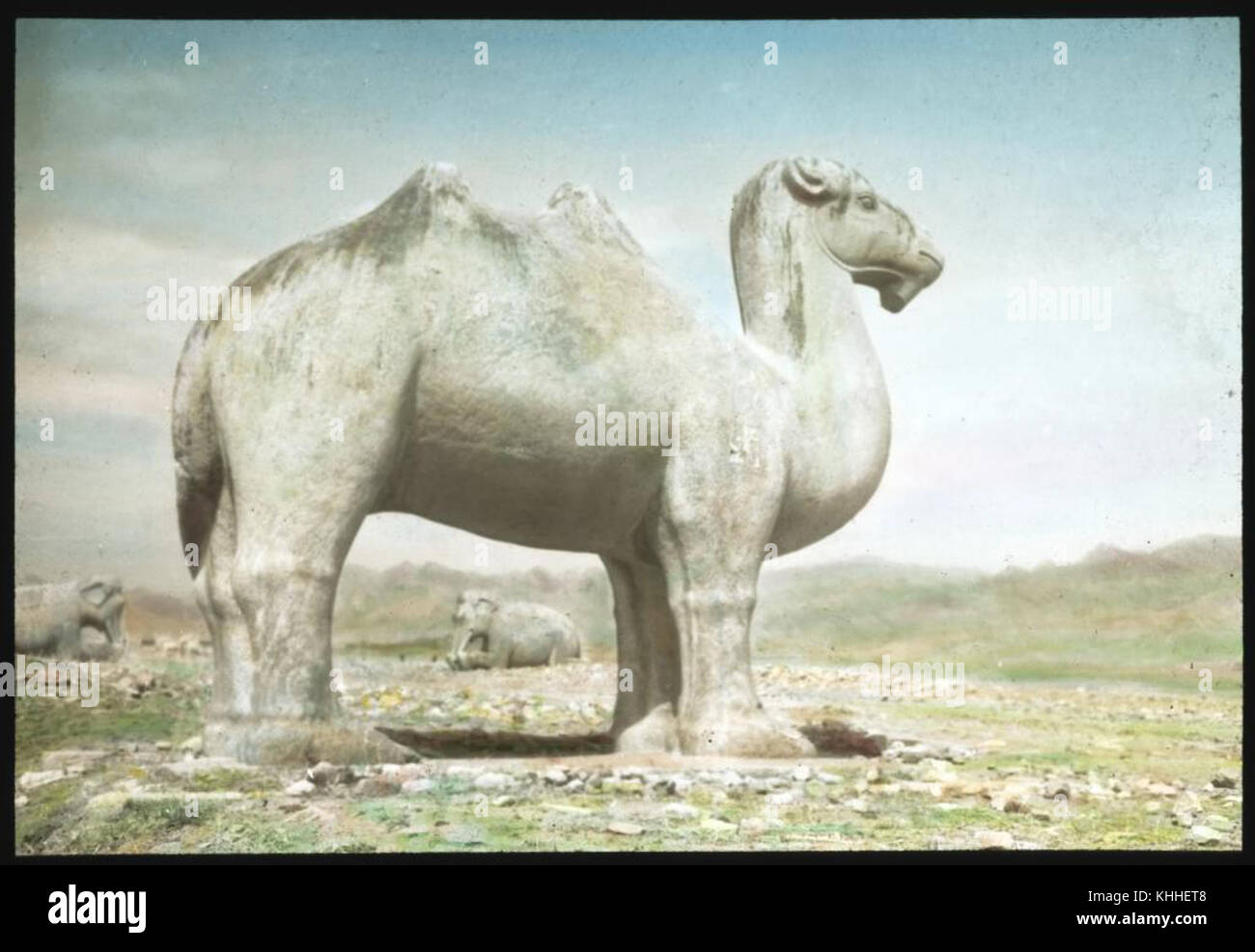 The marble statue of a standing camel on the Sacred Way of Ming Tombs ...