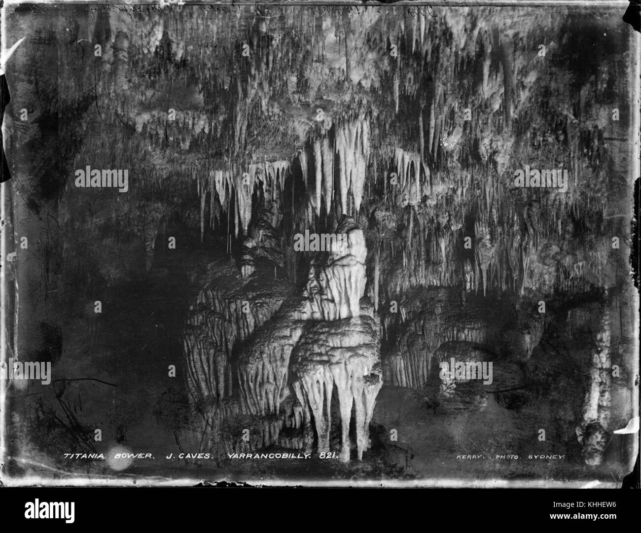 Nest in intricate structure hi-res stock photography and images - Alamy