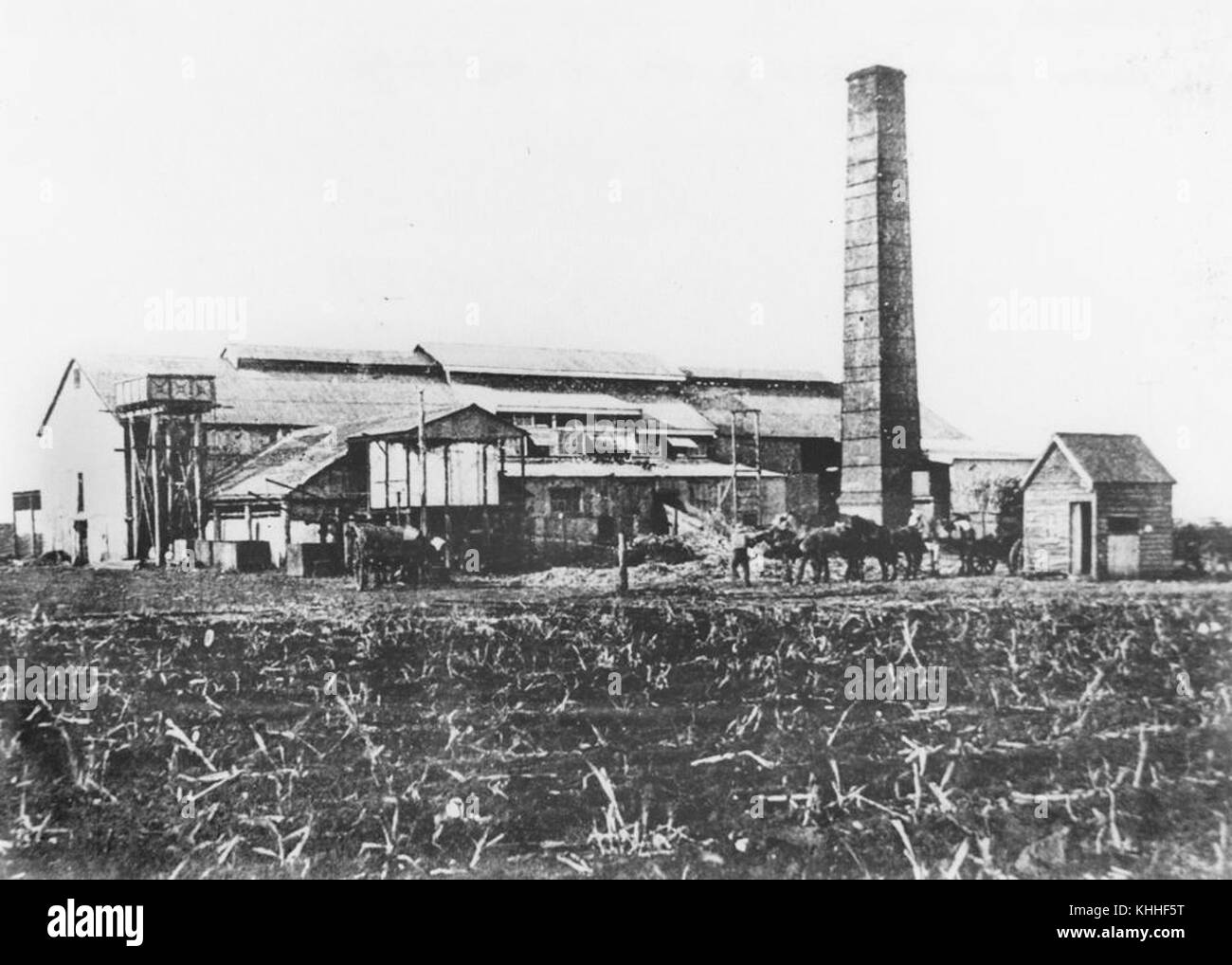 Old sugar mill Black and White Stock Photos & Images - Alamy
