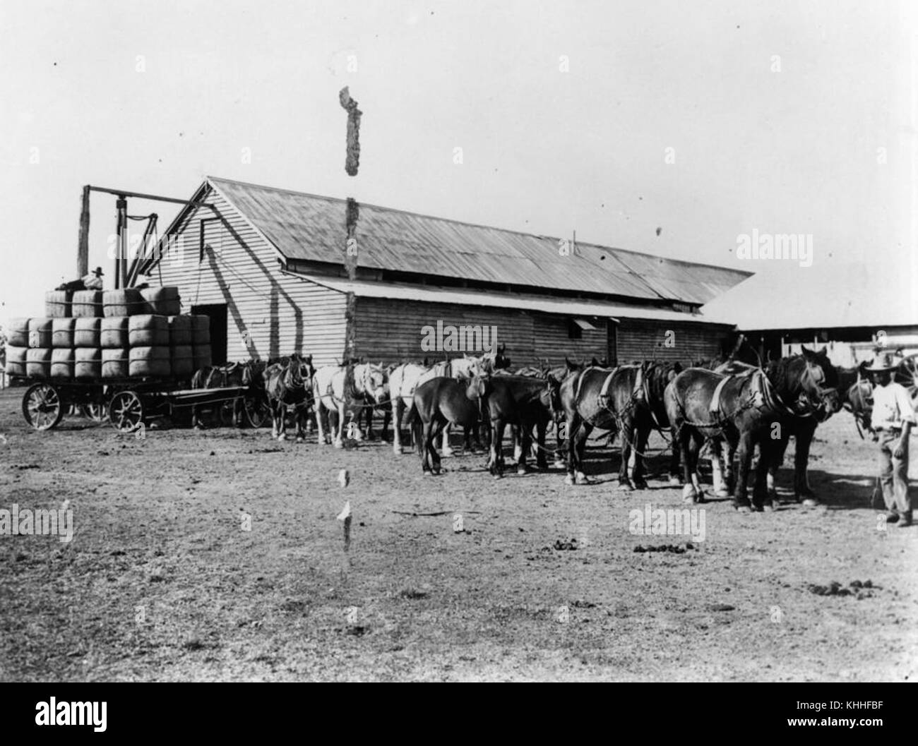 Loading wool bales hi-res stock photography and images - Alamy