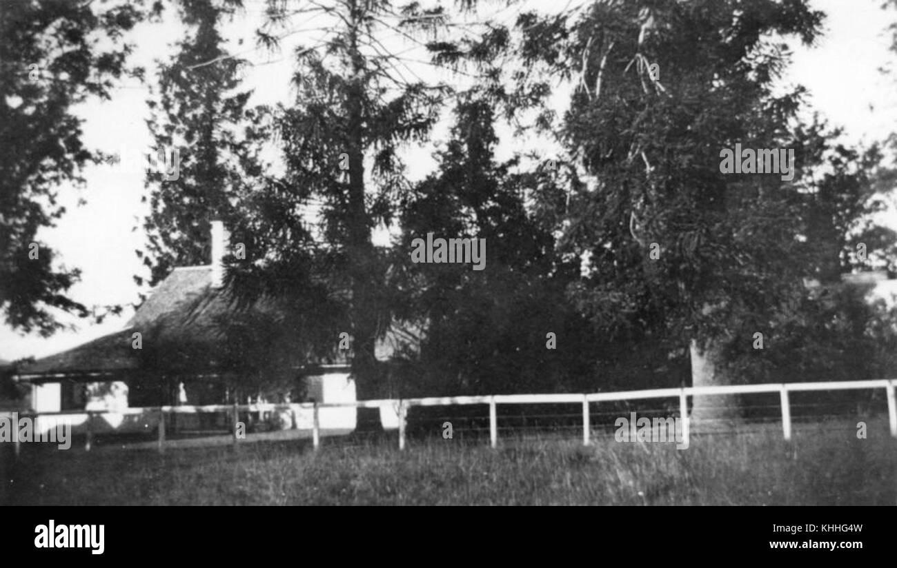 Established trees hi-res stock photography and images - Alamy