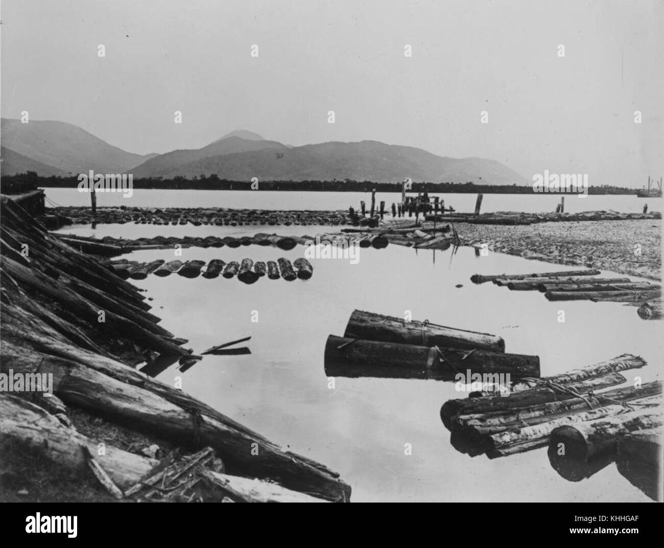 2 101740 Timber floating in the Cairns harbour near the wharves Stock ...