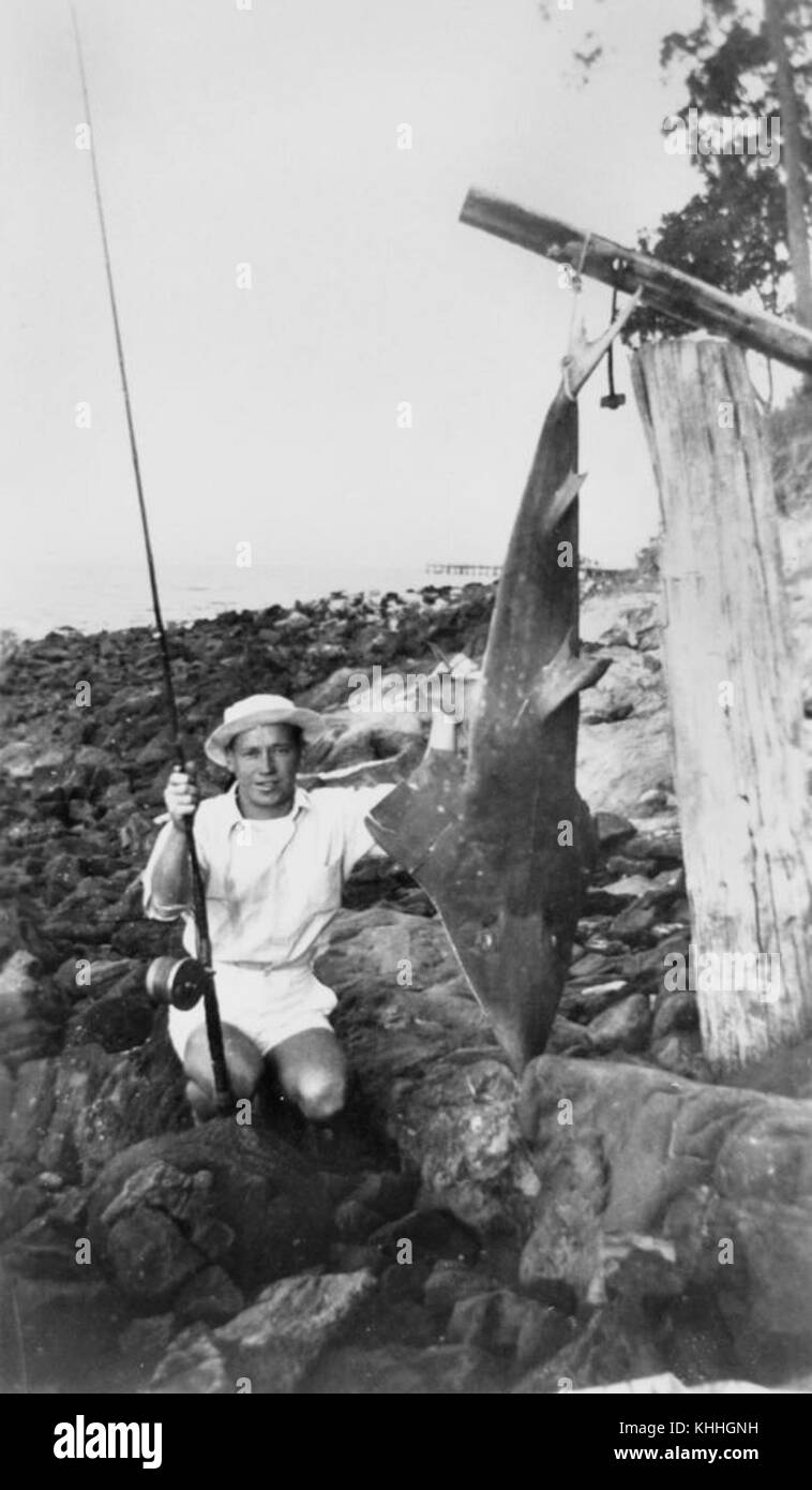 2 188151 Shovel nosed ray shark being displayed by a fisherman at ...