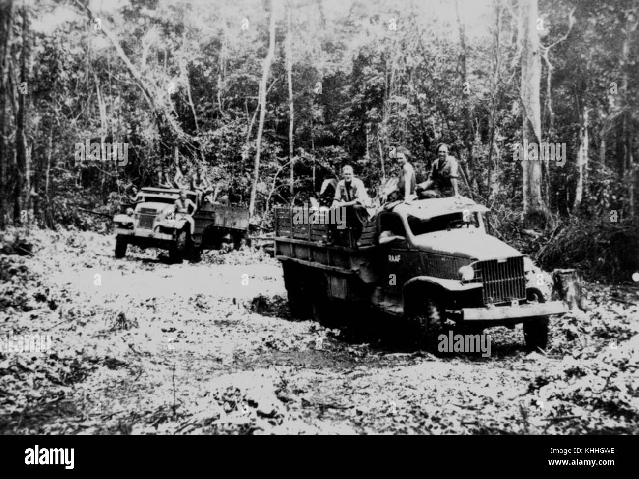 Photograph showing Army trucks on patrol in the jungles of New Guinea ...