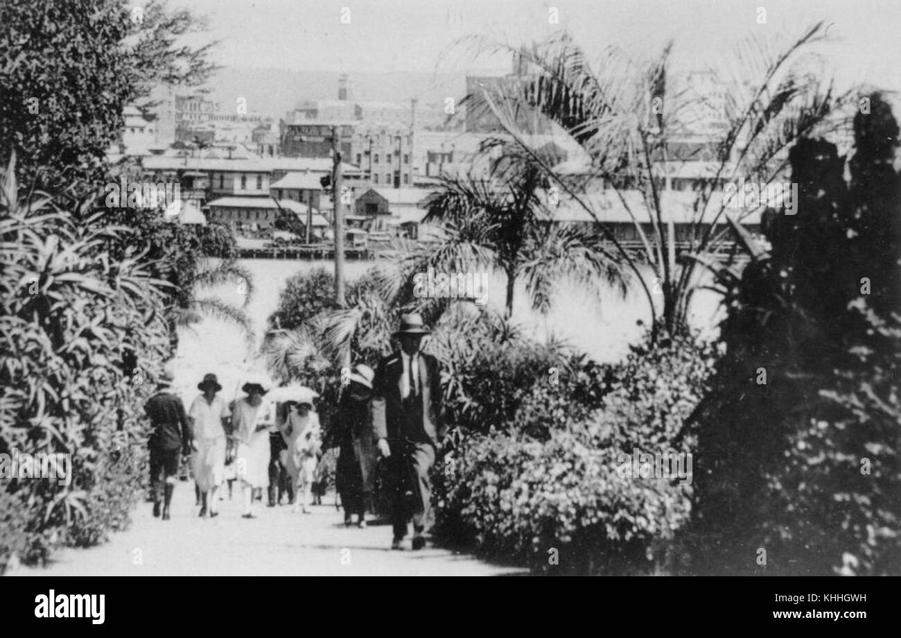 Kangaroo evolution hi-res stock photography and images - Alamy