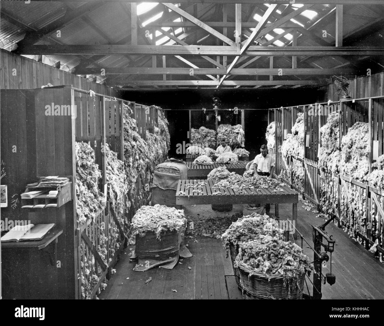 Wool classing room, c1926 Stock Photo - Alamy