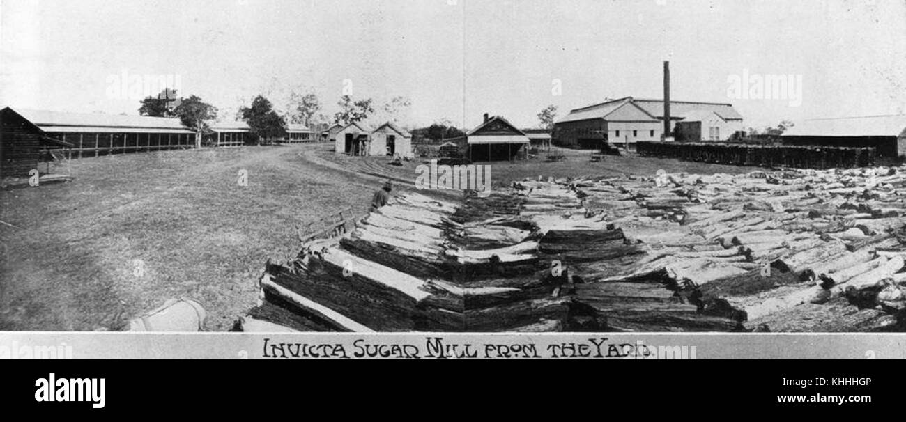 The 1907 photograph of the Invicta Sugar Mill in Bundaberg captures the ...