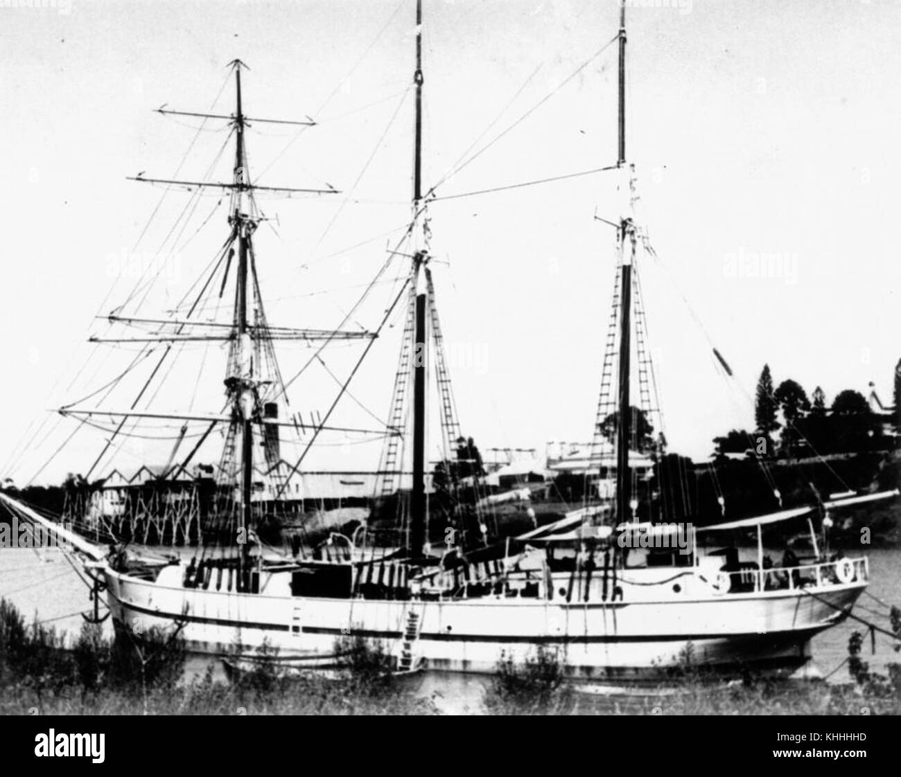 Sydney belle hi-res stock photography and images - Alamy