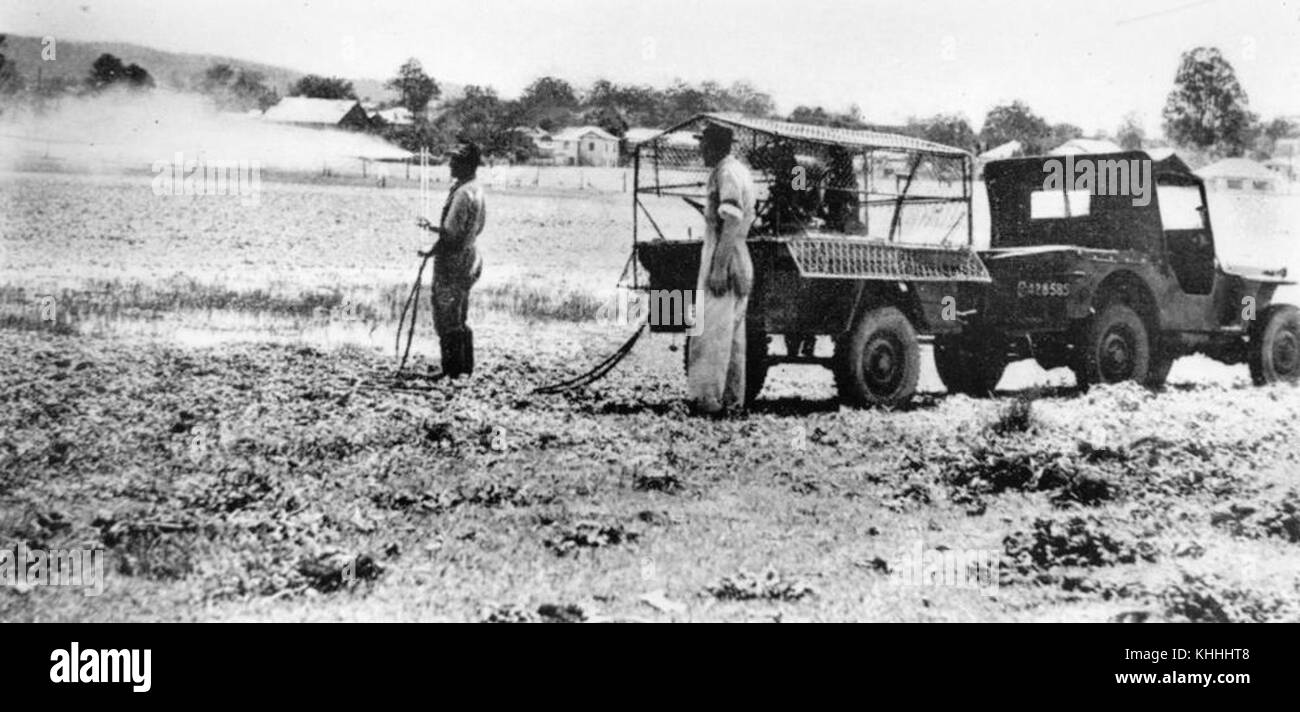 2 162299 Cloud spraying for mosquitos at Norman Park, 1947 Stock Photo ...