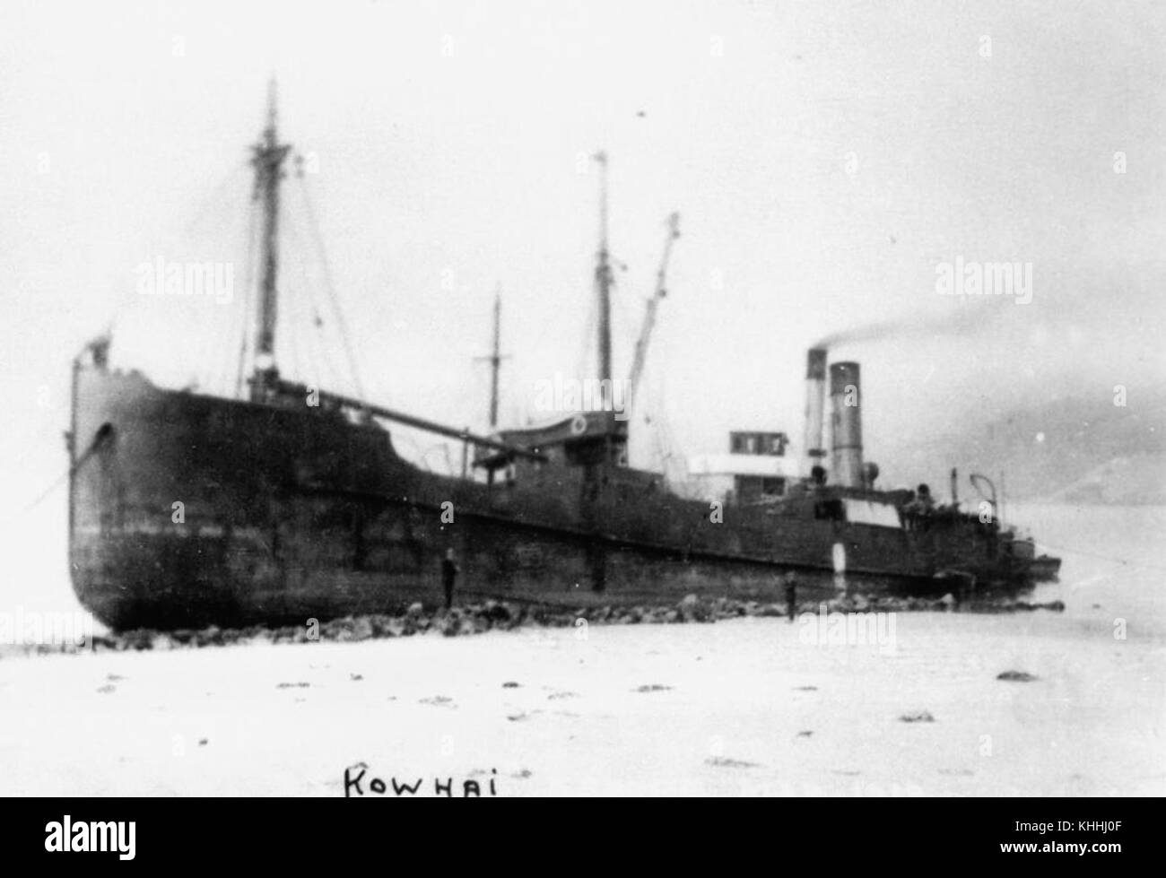 Kowhai illustration Black and White Stock Photos & Images - Alamy