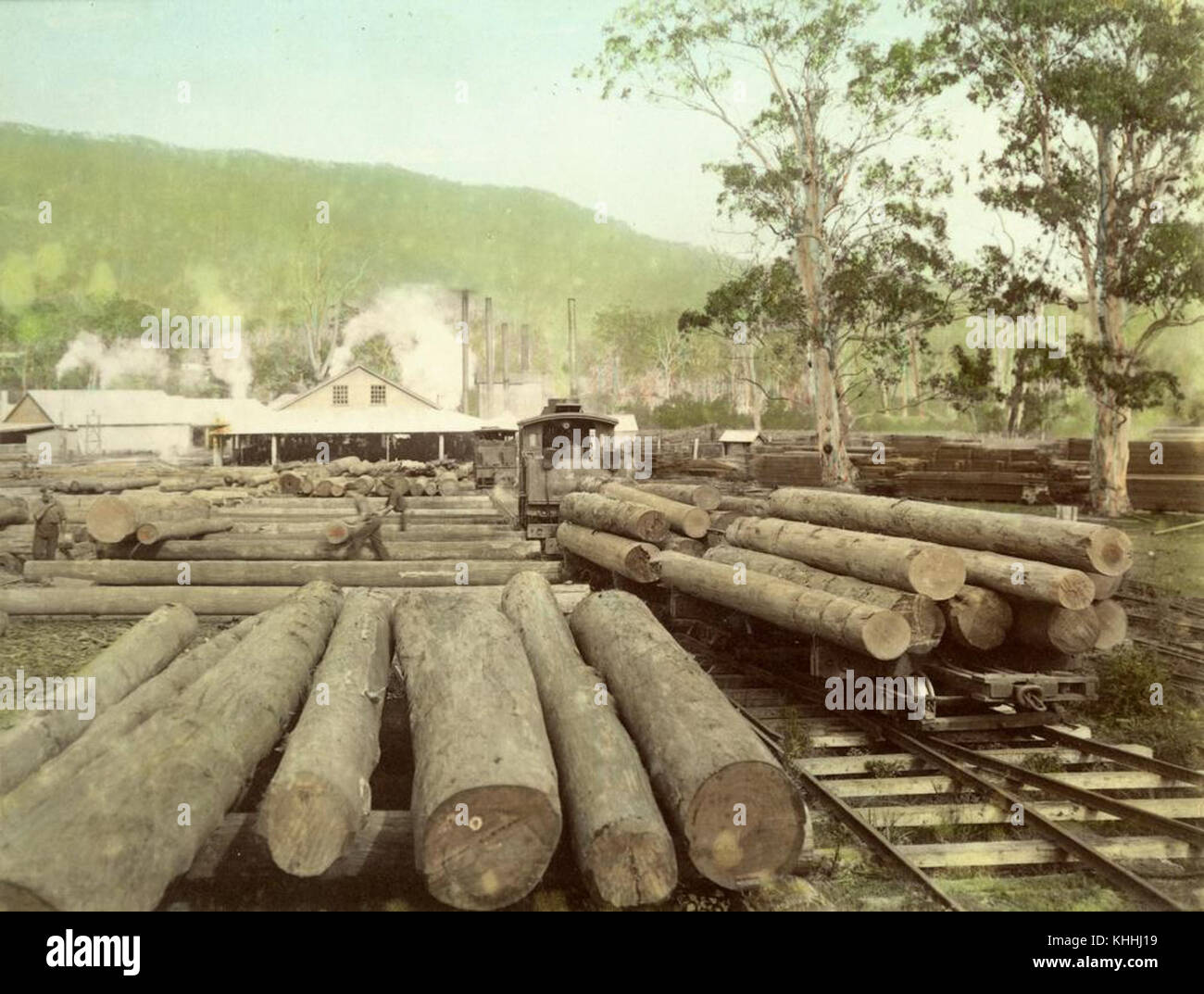 1 239672 Mill log skids at the Canungra Sawmill Stock Photo - Alamy