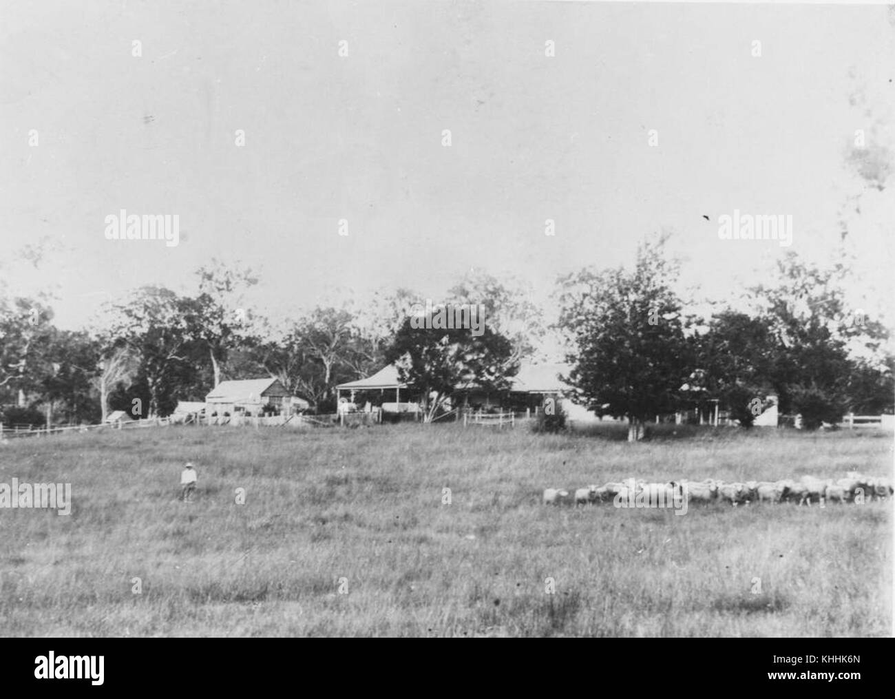 2 295471 Undulla Station in the Darling Downs district, Queensland ...