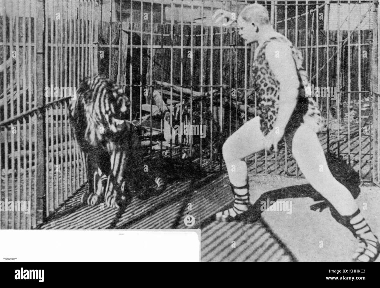 2 42191 Herr Pagel ready to tackle the lion at Wirth's Circus, Brisbane ...