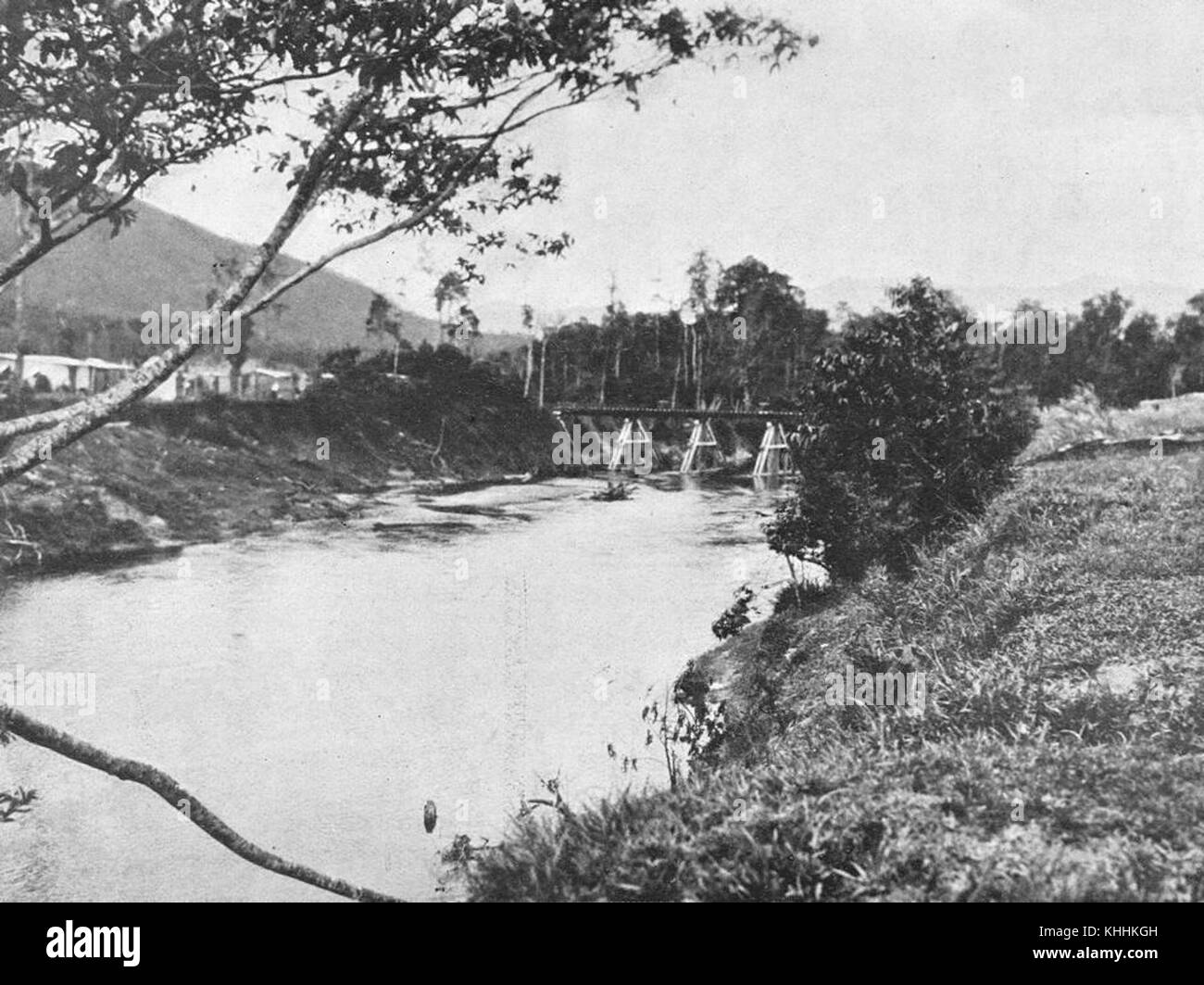 1 388377 Banyan Creek Railway Bridge, Tully, 1930 Stock Photo - Alamy