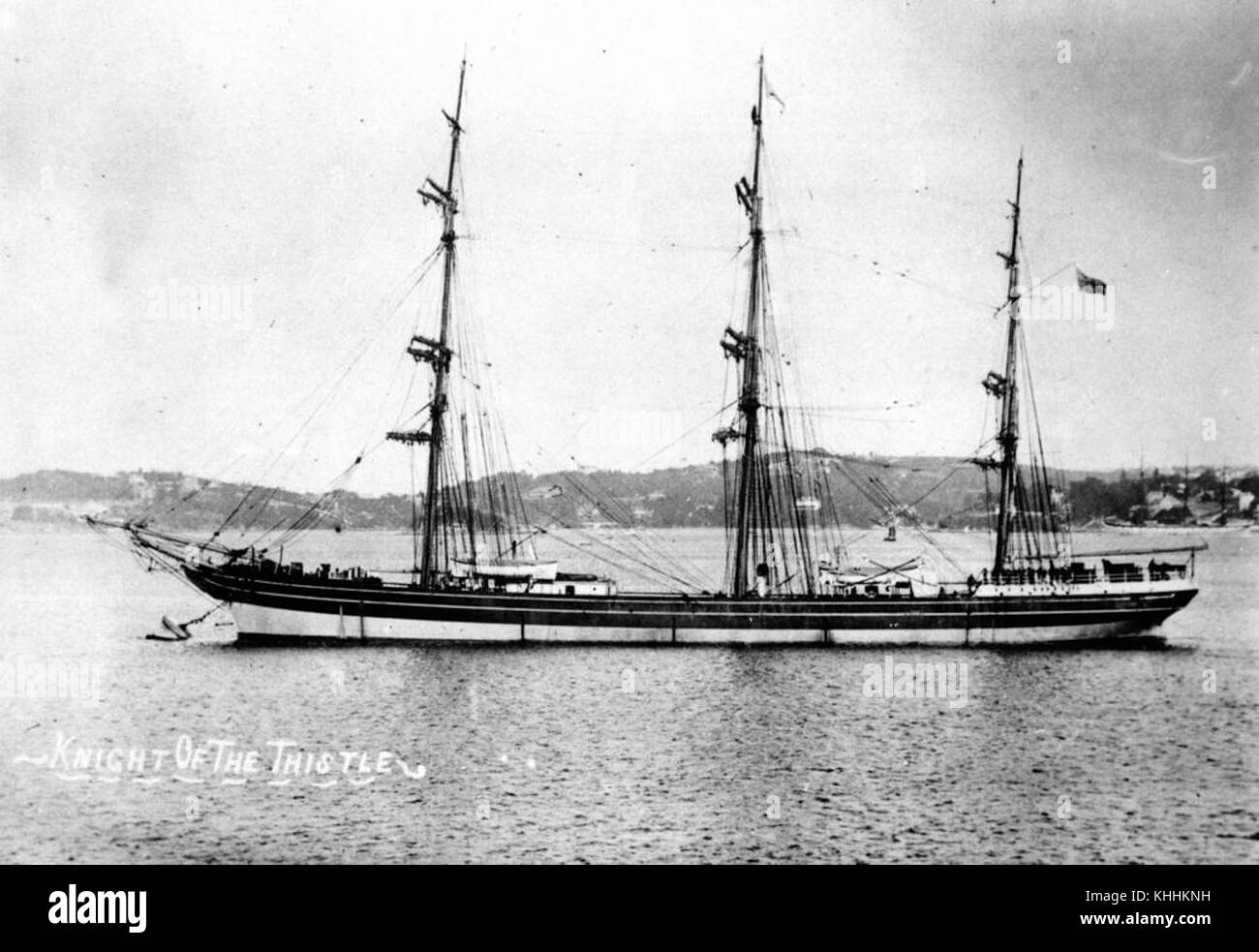 Old thistle illustration Black and White Stock Photos & Images - Alamy